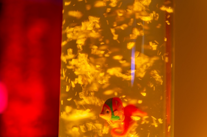 Thornfield House - Cygnet