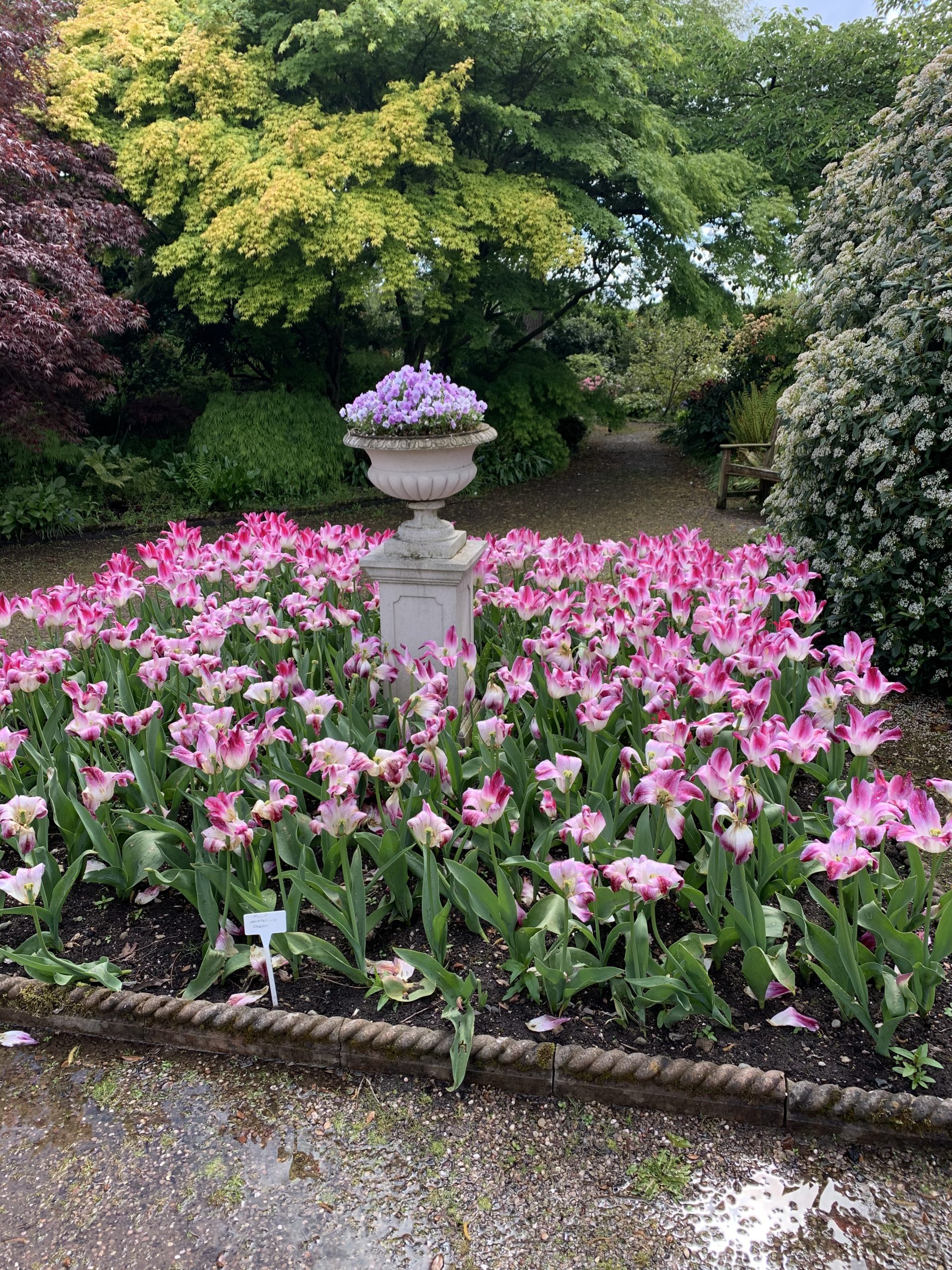 Non-stop fun at Cygnet Nield House! - Cygnet