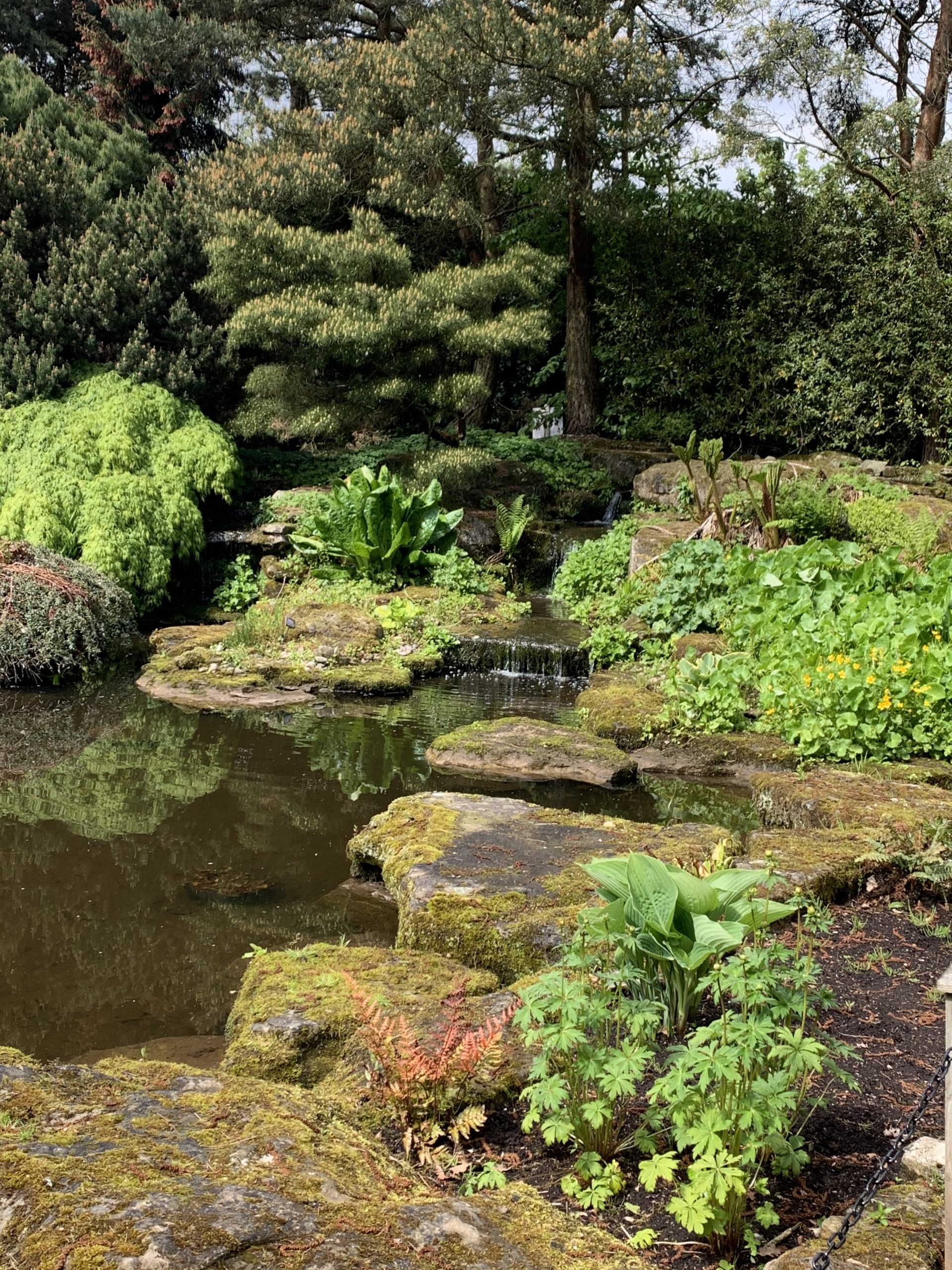 Non-stop fun at Cygnet Nield House! - Cygnet