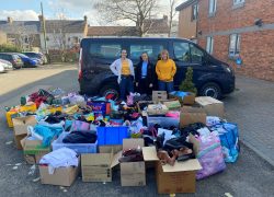 Cygnet Appletree - Cygnet