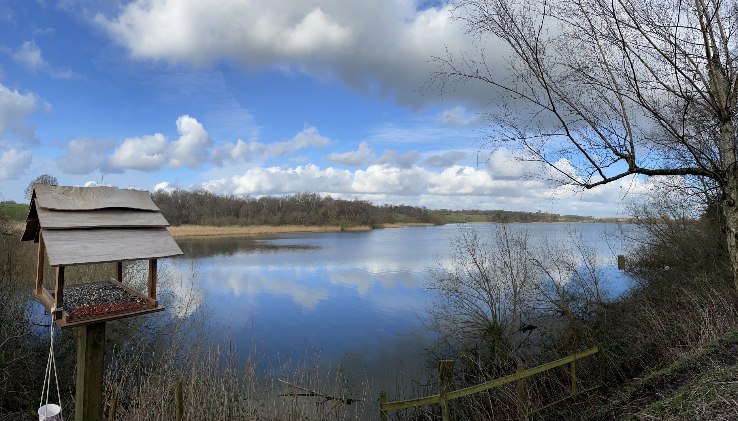 April activities at Cygnet Nield House - Cygnet