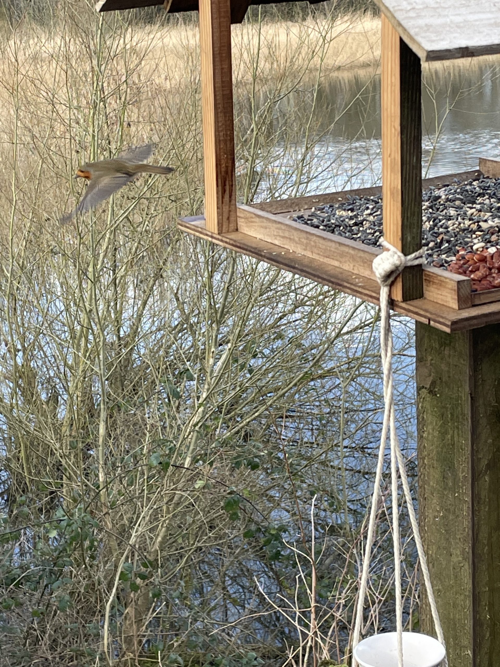 April activities at Cygnet Nield House - Cygnet