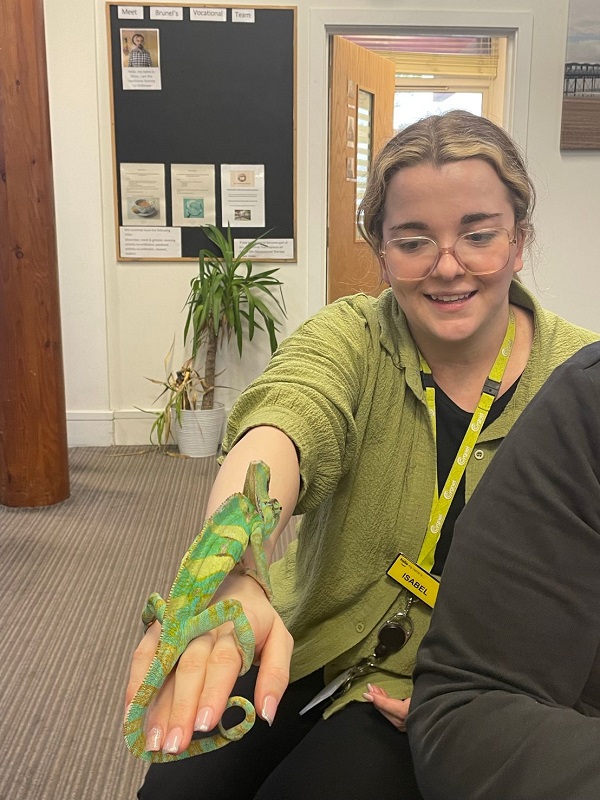 Animals Interactive visit Cygnet Brunel - Cygnet