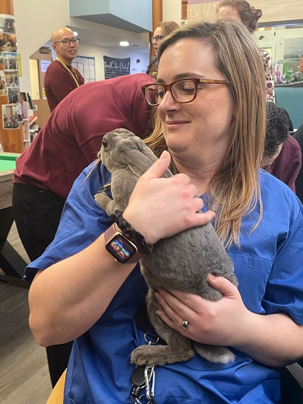 Animals Interactive visit Cygnet Brunel - Cygnet